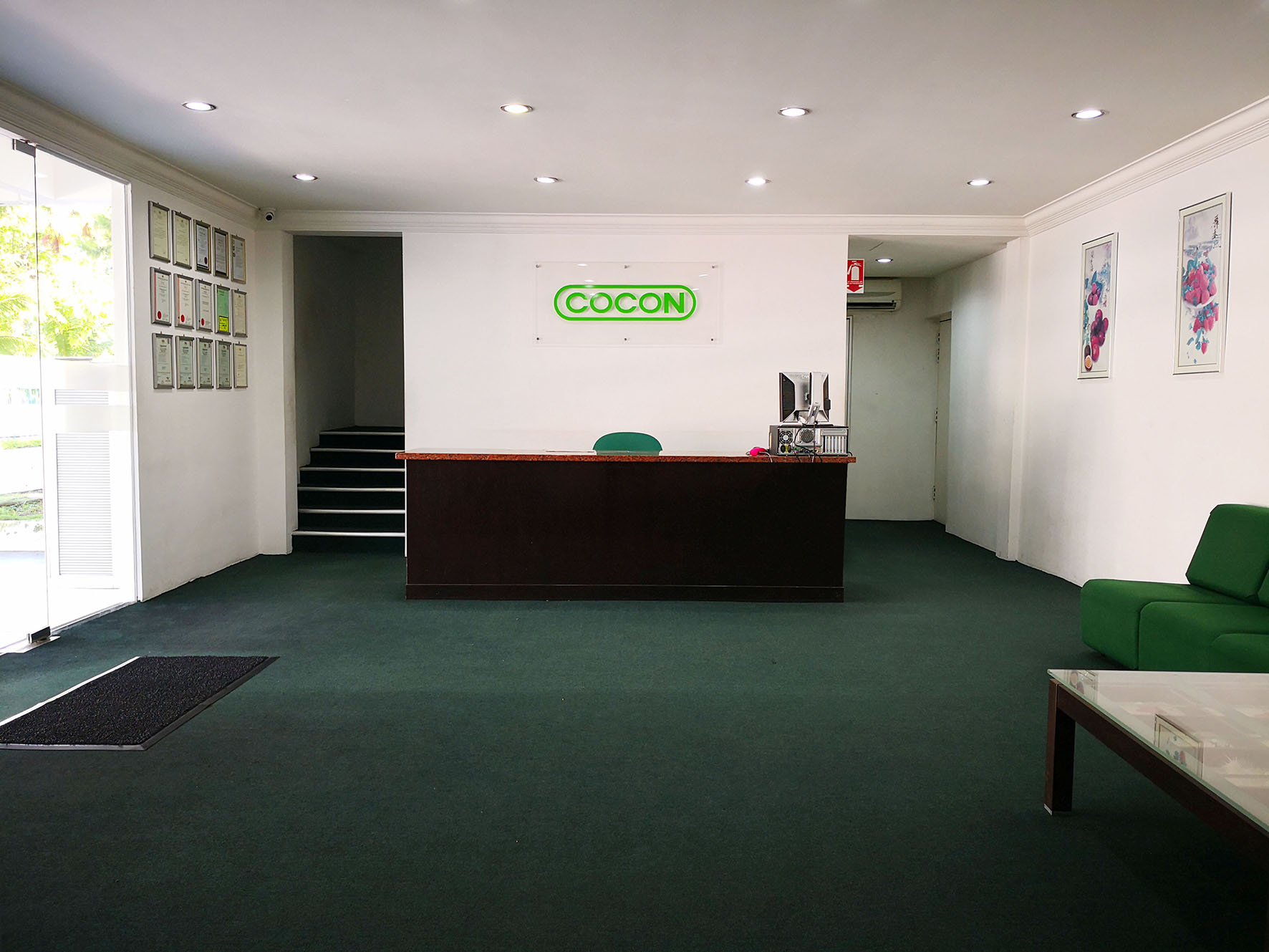 Cocon – Pudding, Jelly, Candy, Yogo Ice, Gummy, Snow fall, Syrup